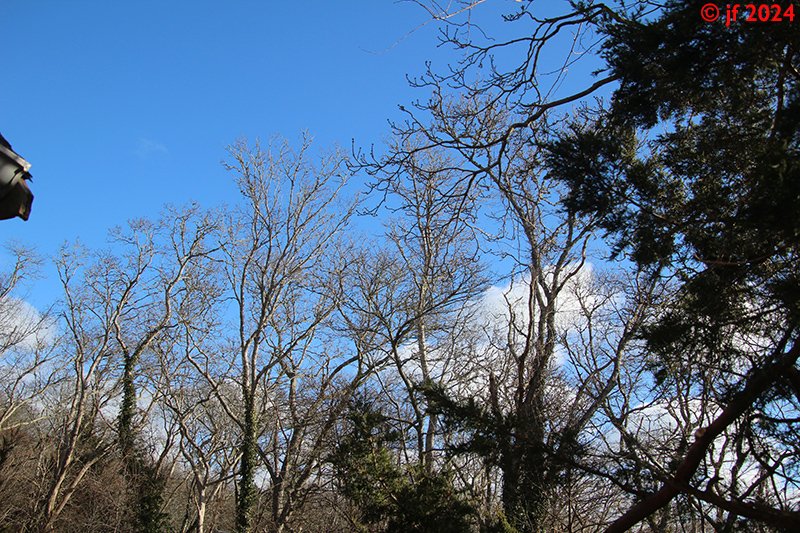 Solve Blue Sky Yesterday jigsaw puzzle online with 35 pieces