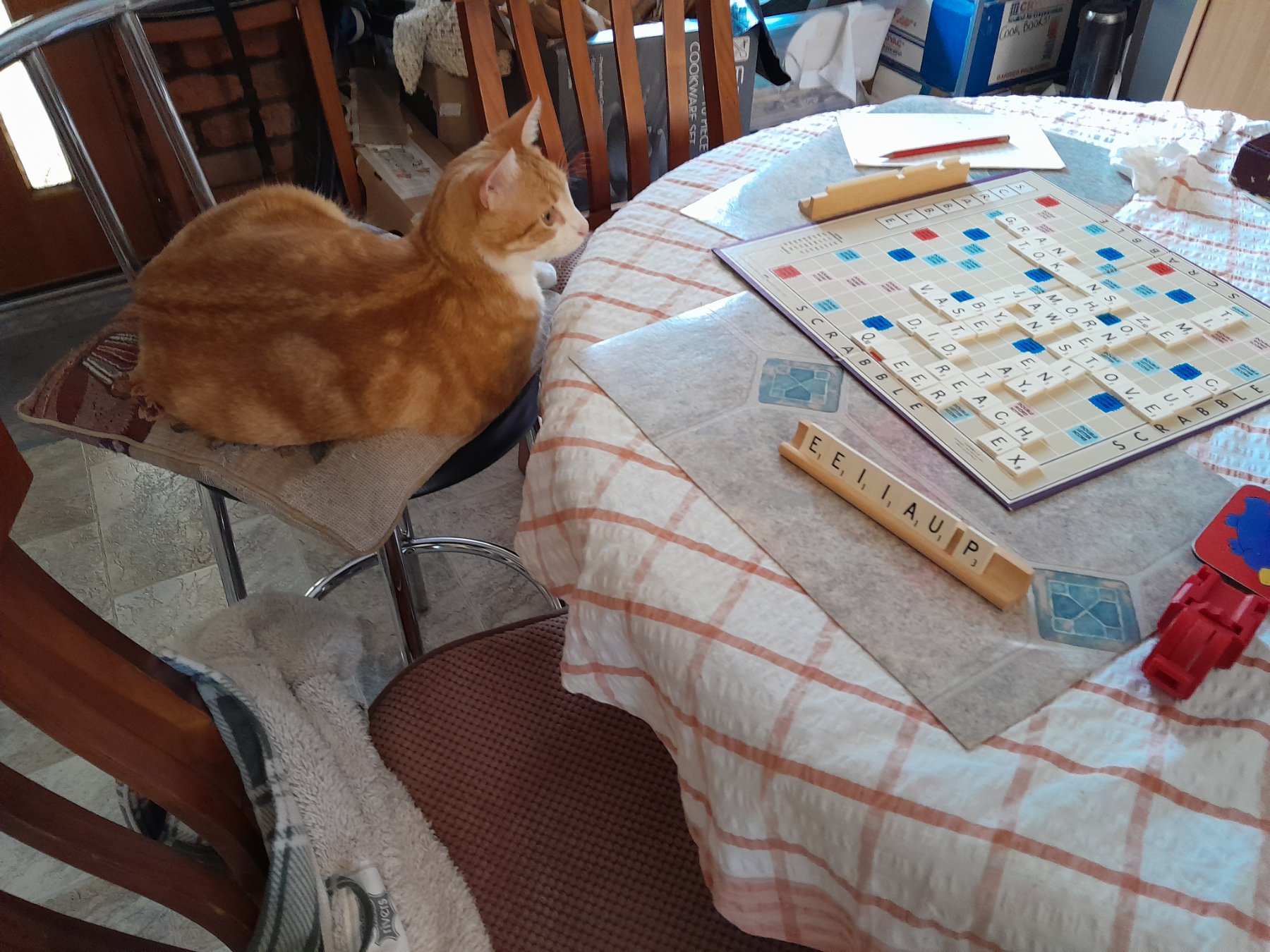 Solve Pippin playing scrabble jigsaw puzzle online with 63 pieces