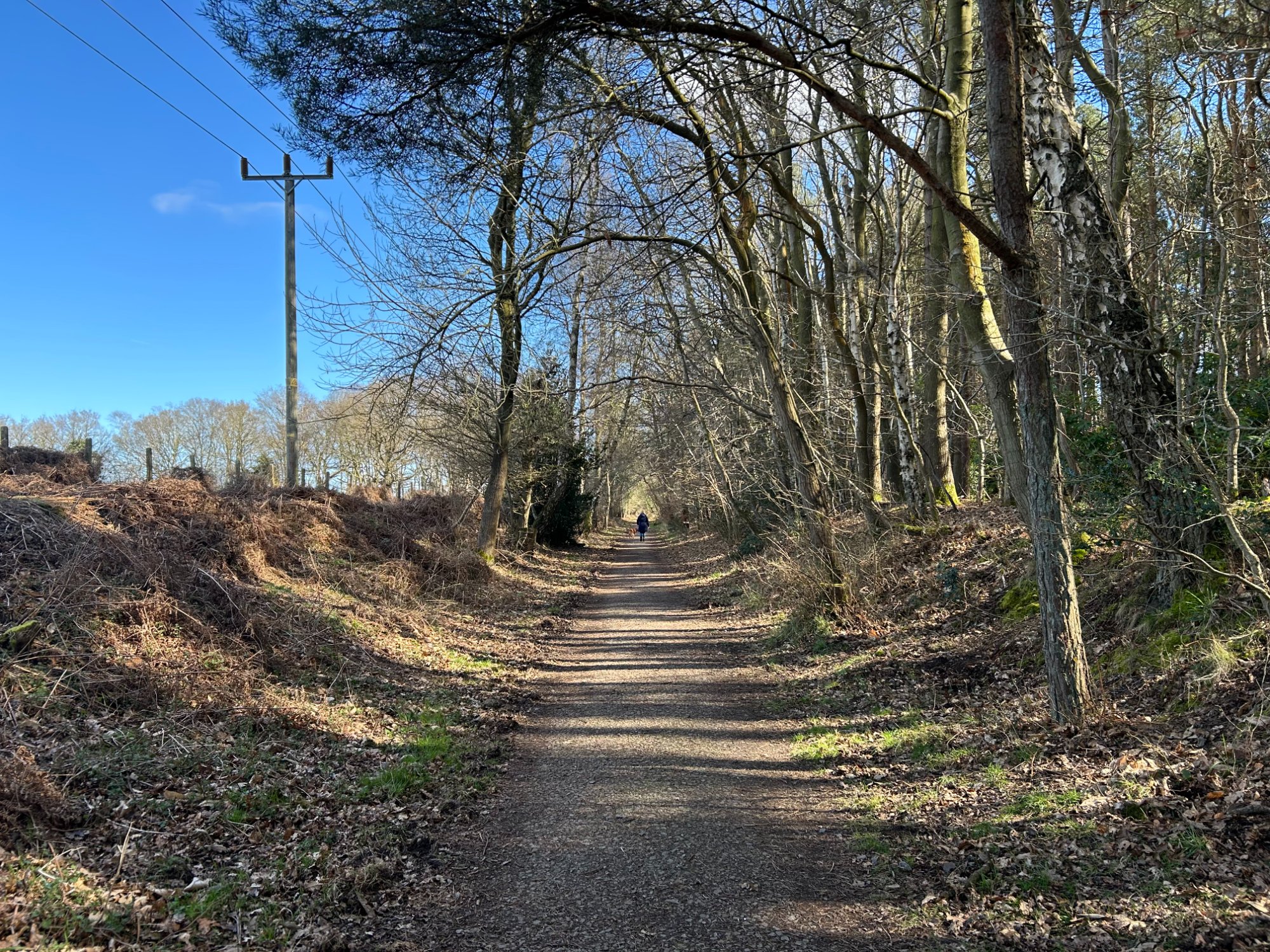 Solve Weavers Way jigsaw puzzle online with 88 pieces