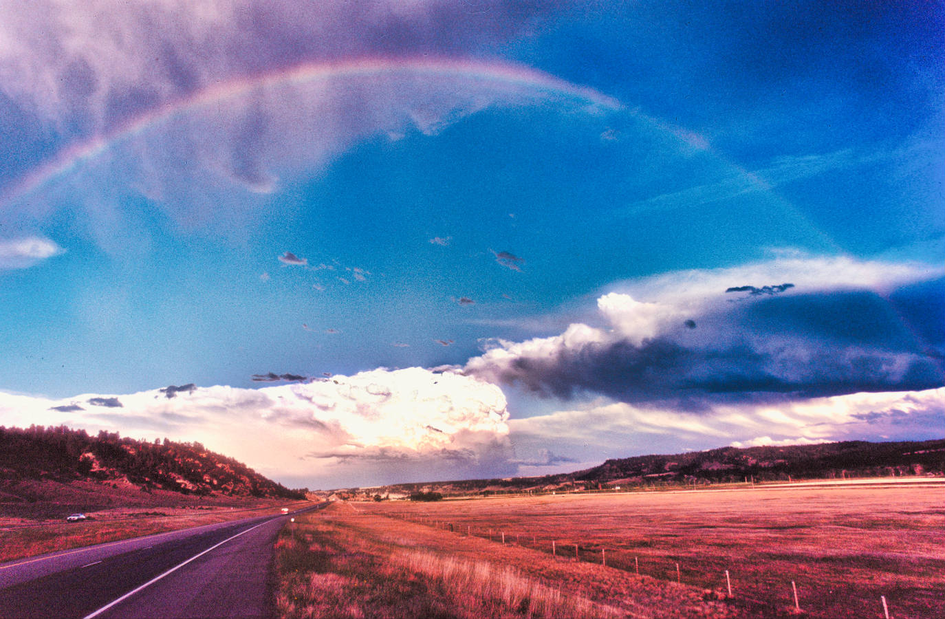 Solve Proposal picture jigsaw puzzle online with 126 pieces