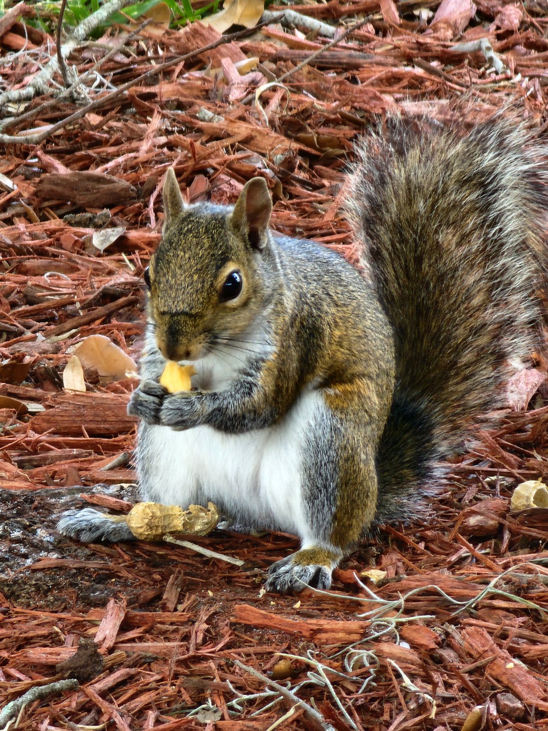 Solve Mmm This Is Good jigsaw puzzle online with 63 pieces