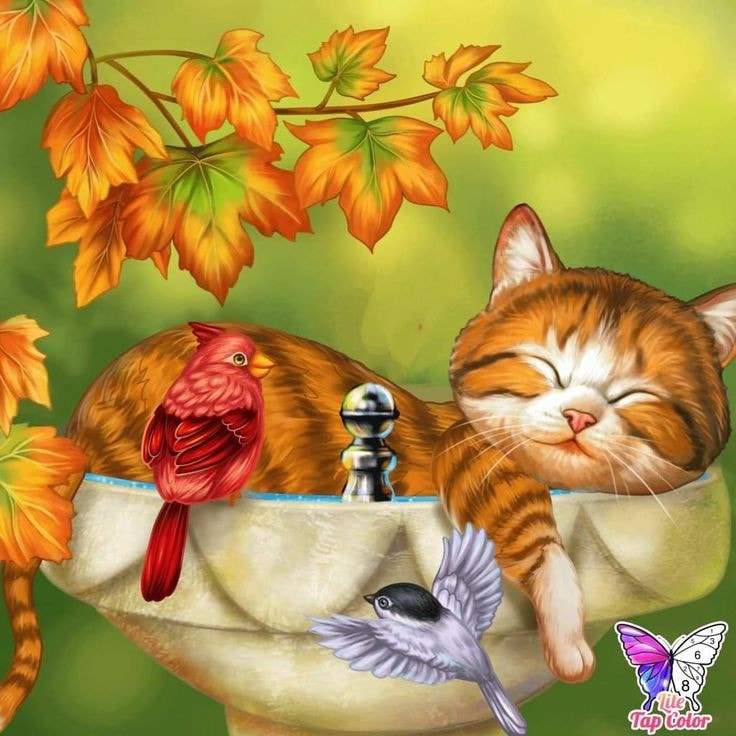 Jigsaw Puzzle | Just napping | 25 pieces | Jigidi