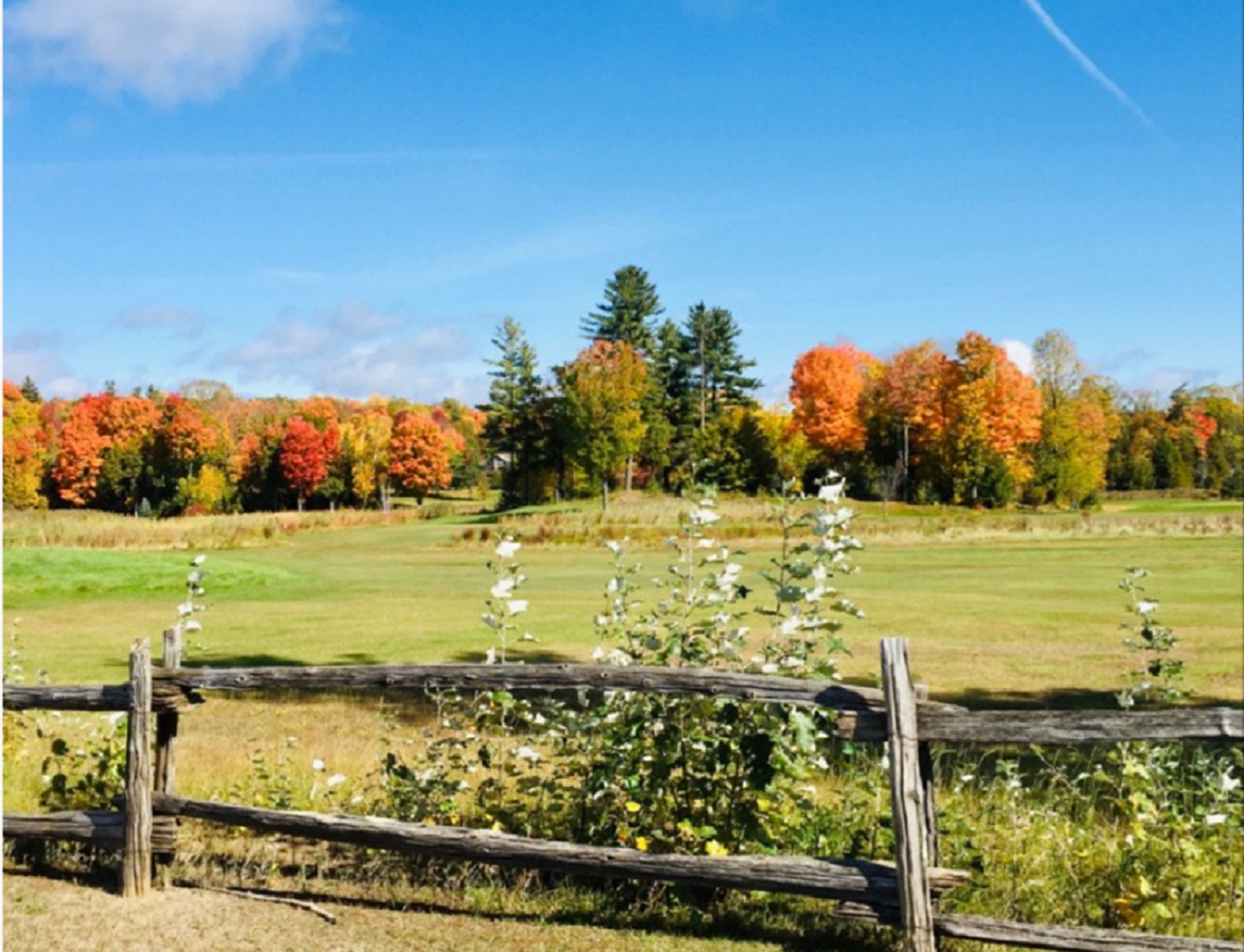 Jigsaw Puzzle | 108 pieces | Fall Color on the Cumberland Plateau | Jigidi