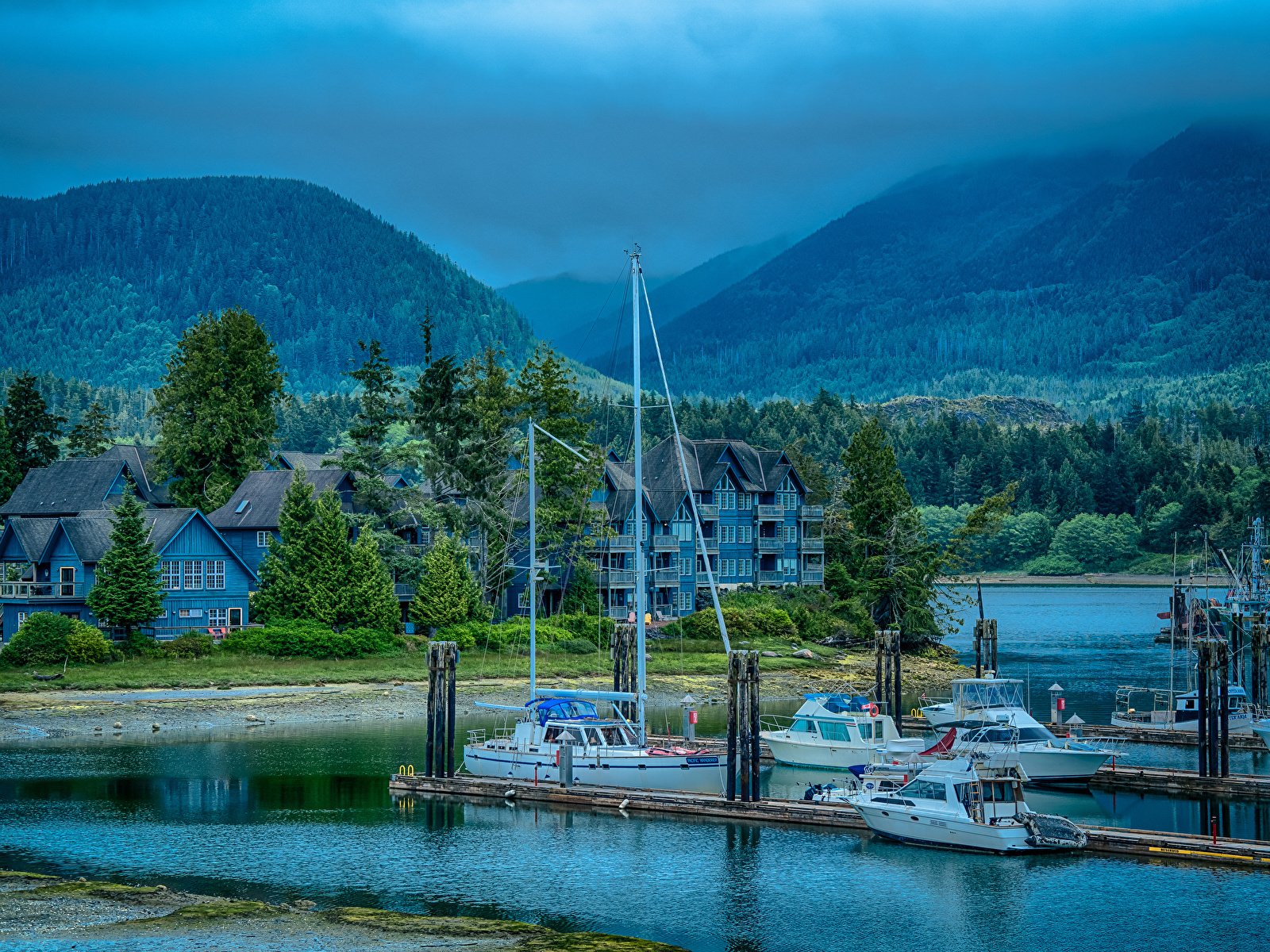 Solve Canada_Ucluelet_British_Columbia jigsaw puzzle online with 221 pieces