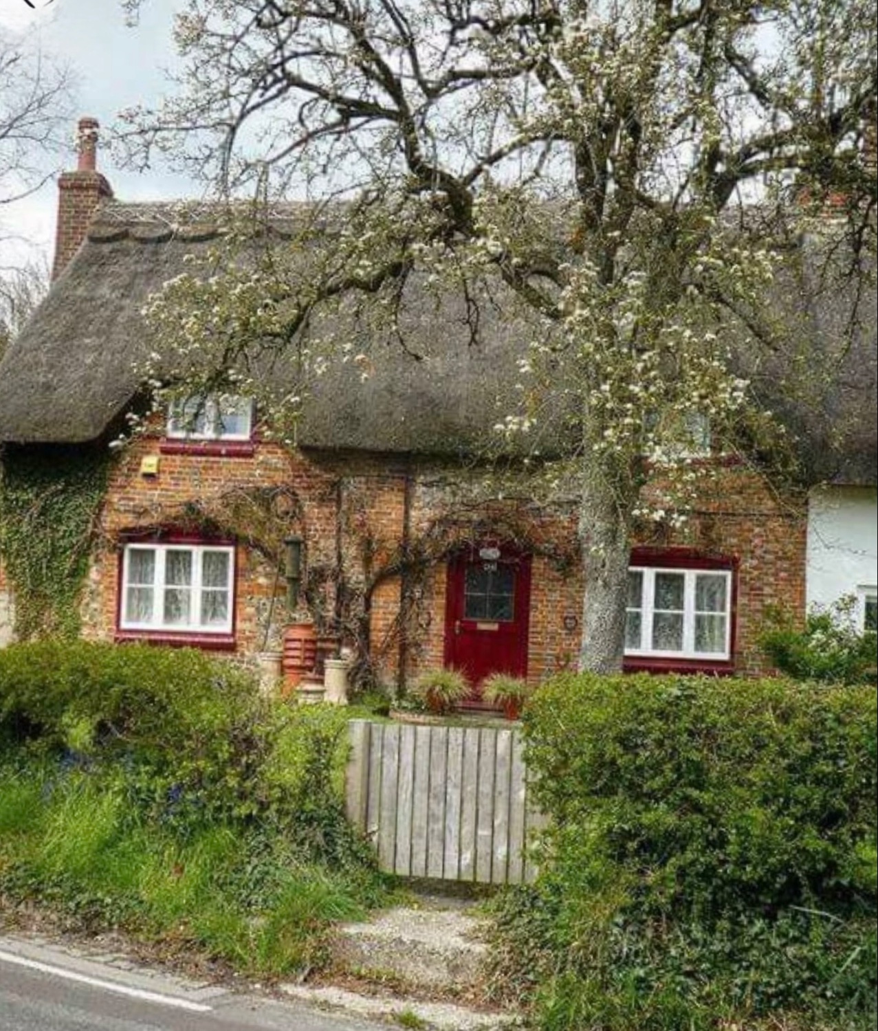 Solve Thatched Cottage, ENGLAND jigsaw puzzle online with 90 pieces