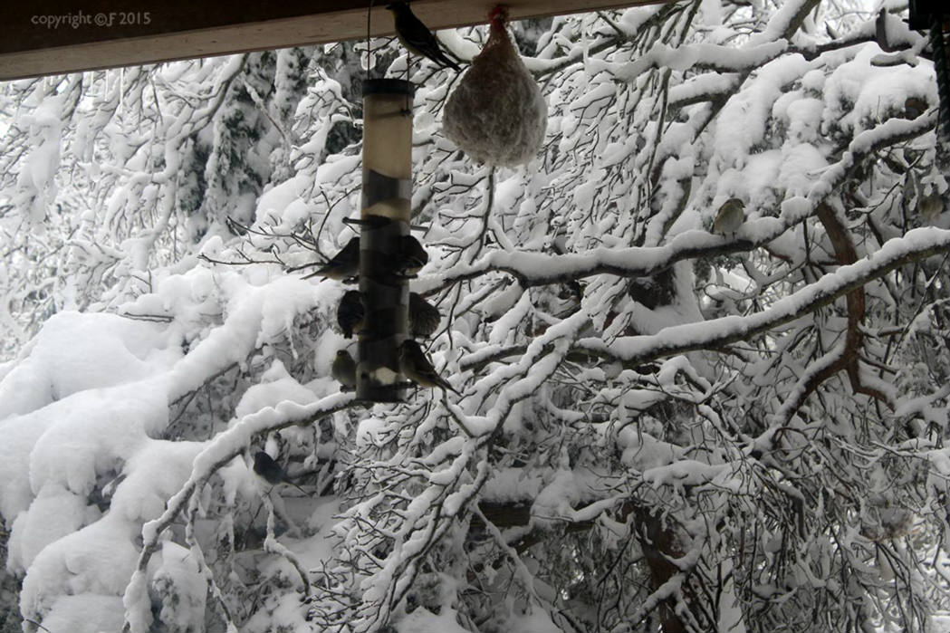 Solve Themes: Weather jigsaw puzzle online with 24 pieces