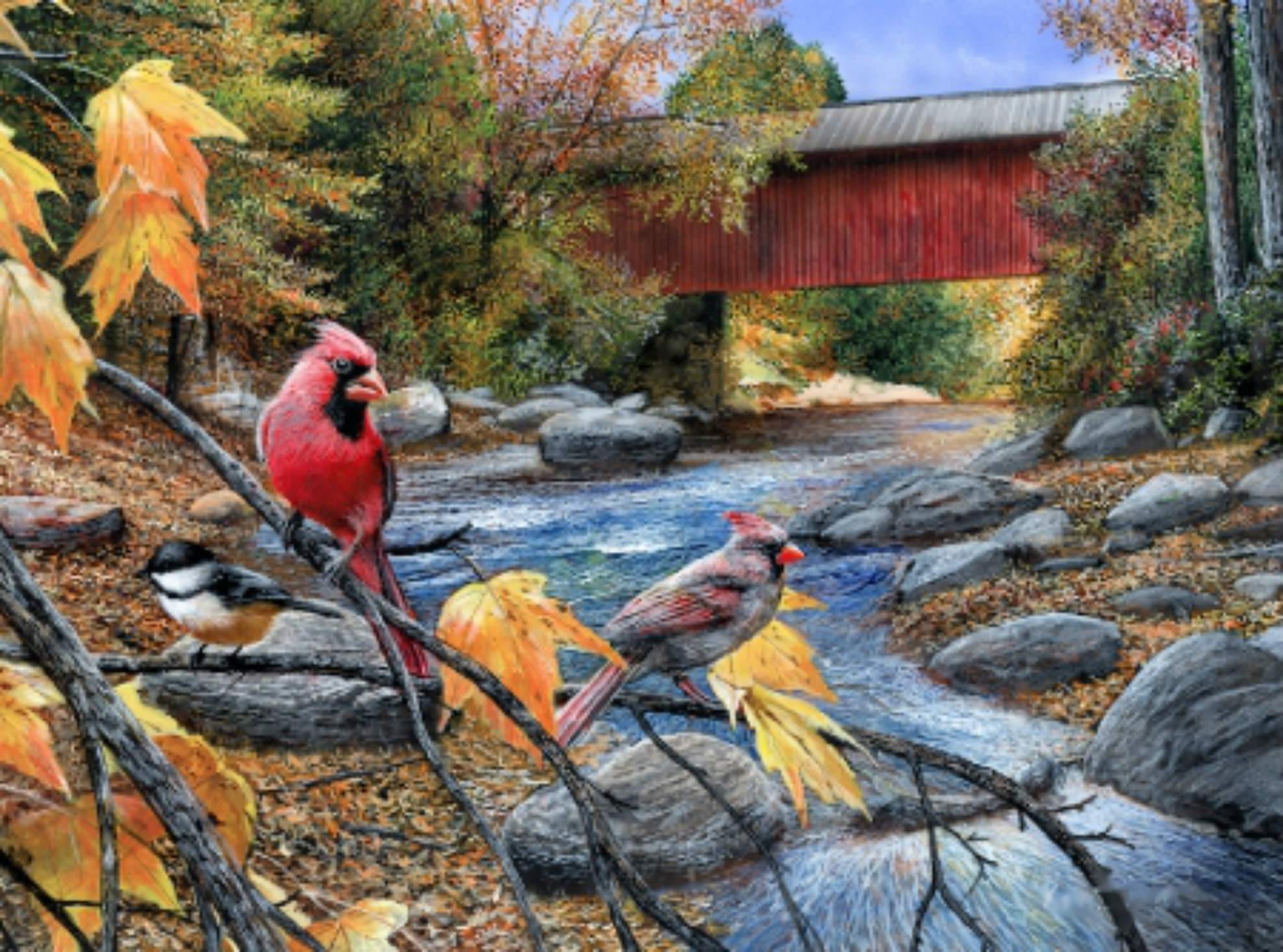 Solve Cardinals & Covered Bridge jigsaw puzzle online with 352 pieces