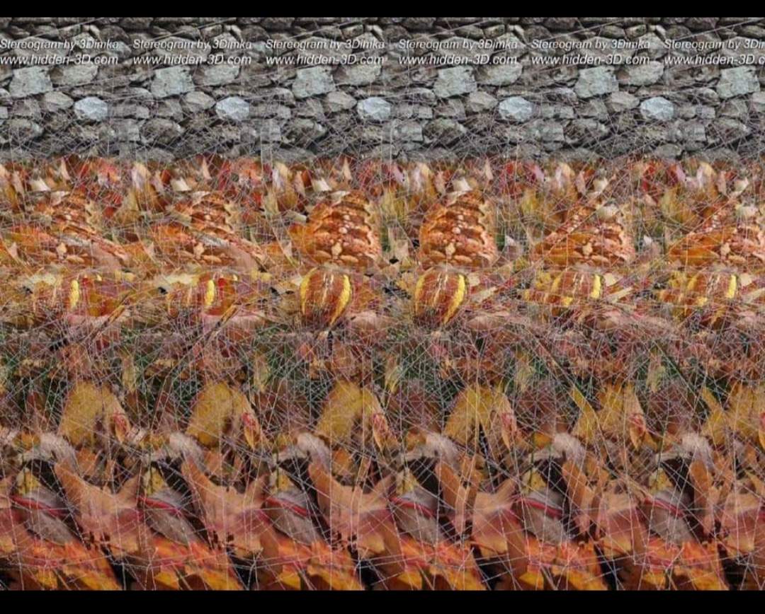 Solve Magic eye 4 jigsaw puzzle online with 120 pieces