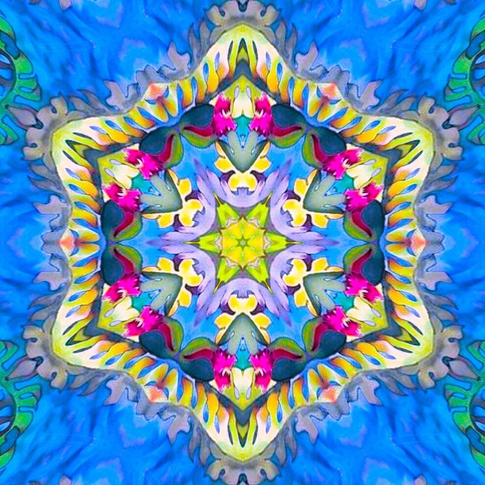 Solve pn232ax22k jigsaw puzzle online with 49 pieces