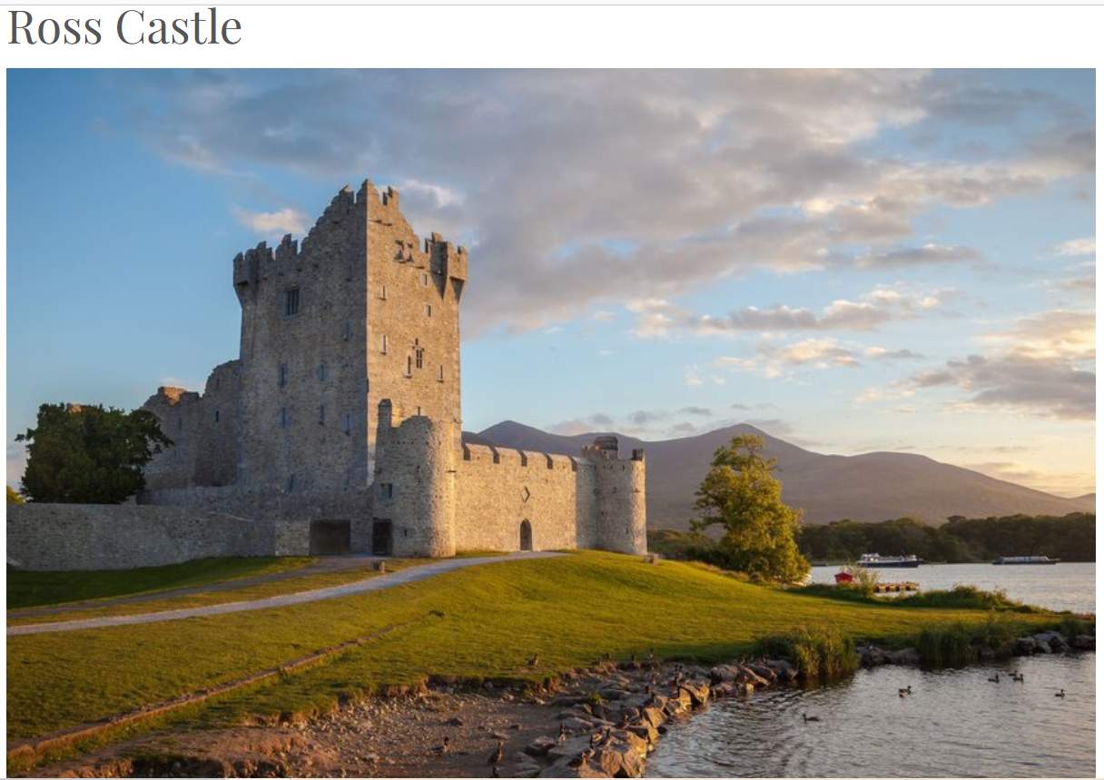 Solve CASTLE-ROSS-IRELAND jigsaw puzzle online with 48 pieces