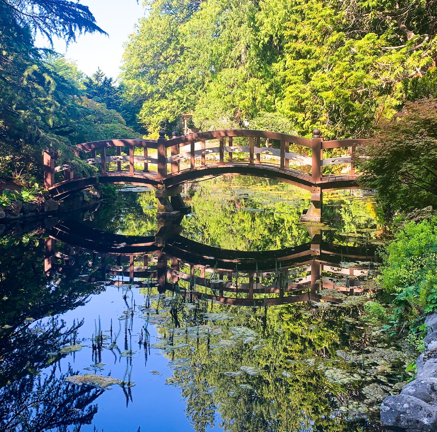 Solve A bridge in the Hatley Park Japanese Garden in Victoria BC jigsaw ...