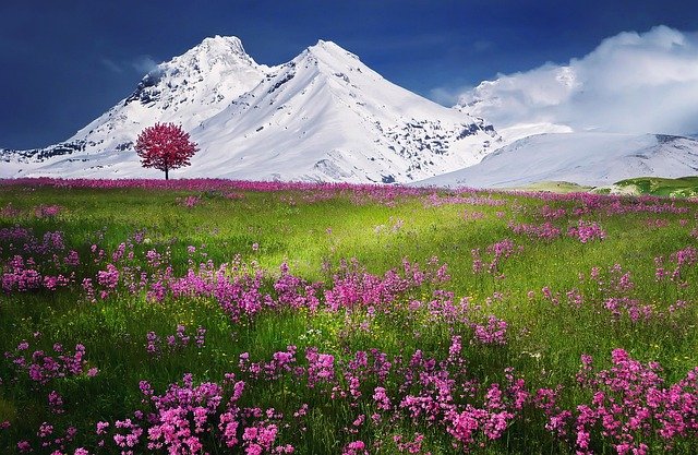 Solve Spring in the Alps jigsaw puzzle online with 70 pieces