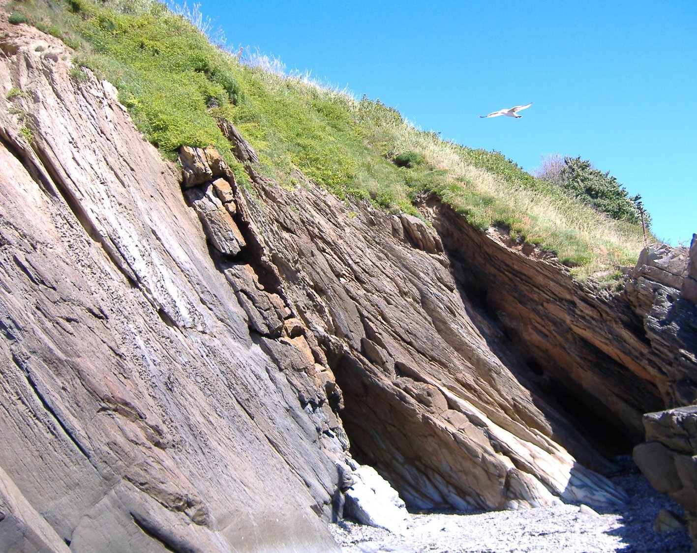 Solve Some old pics - cliffs at Combe Martin, North Devon 2008 jigsaw ...