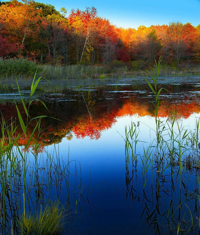Solve Autumn Reflection jigsaw puzzle online with 143 pieces