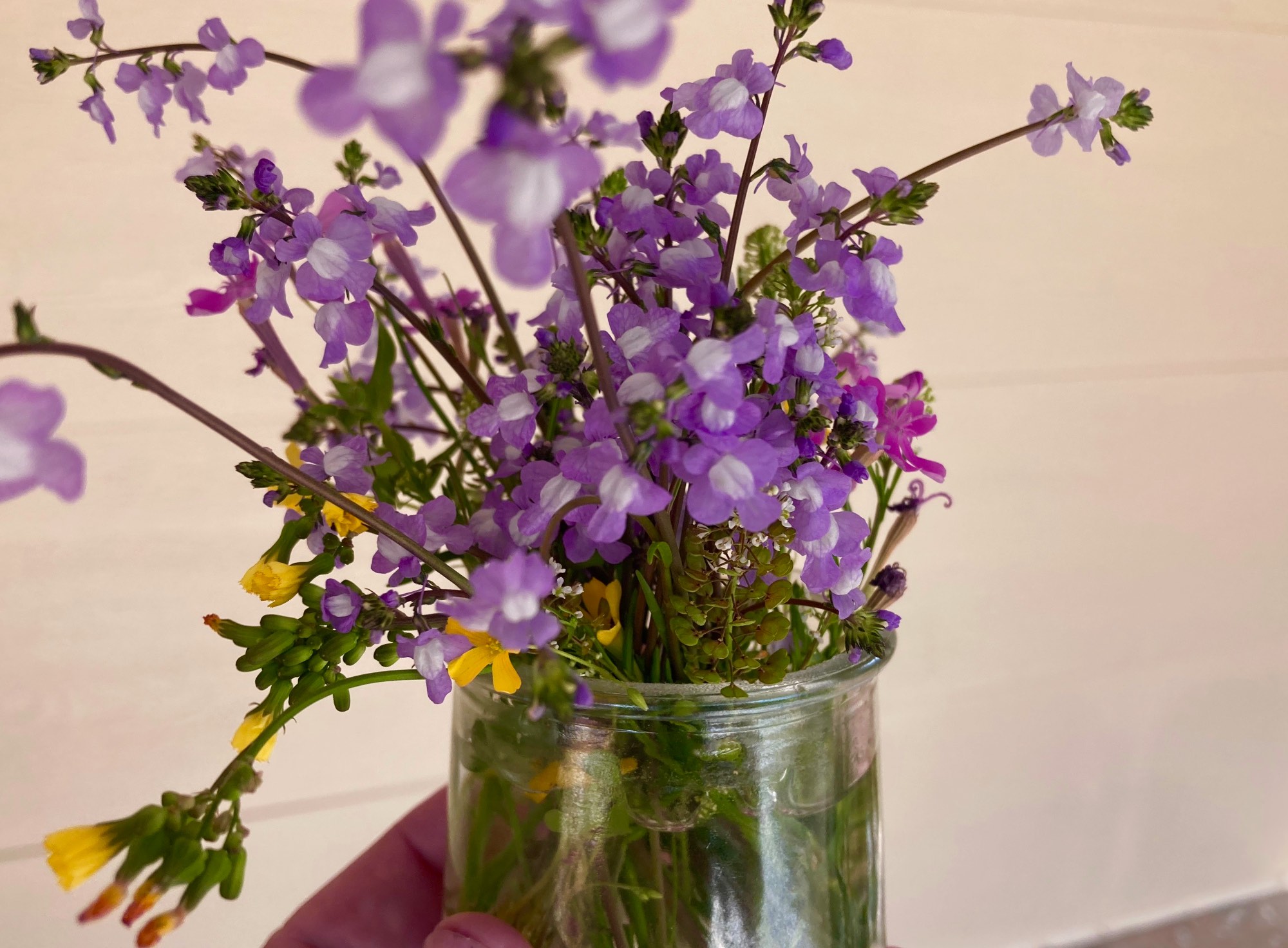 Solve Small jar. jigsaw puzzle online with 108 pieces