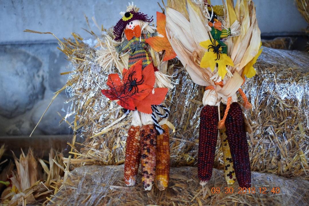 Solve INDIAN CORN ART jigsaw puzzle online with 70 pieces