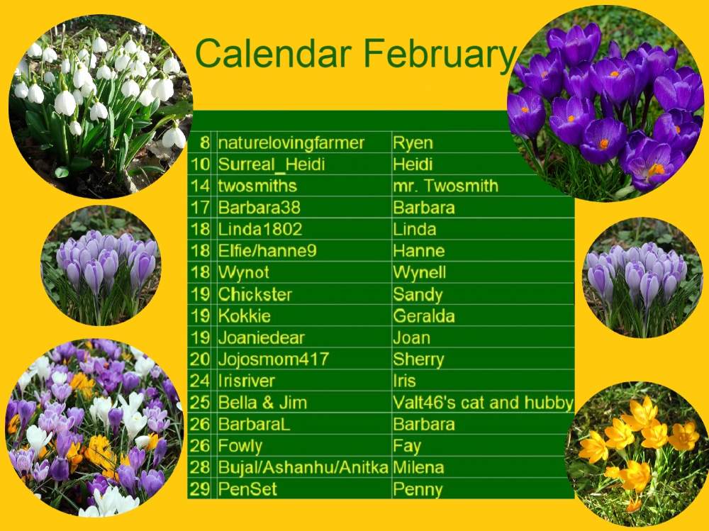 Solve February Birthday/Anniversary Calendar jigsaw puzzle online with ...