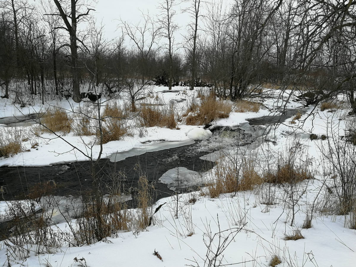 Solve Weeks Stream, Troy, Ontario. Groundhog Day 2019 jigsaw puzzle ...