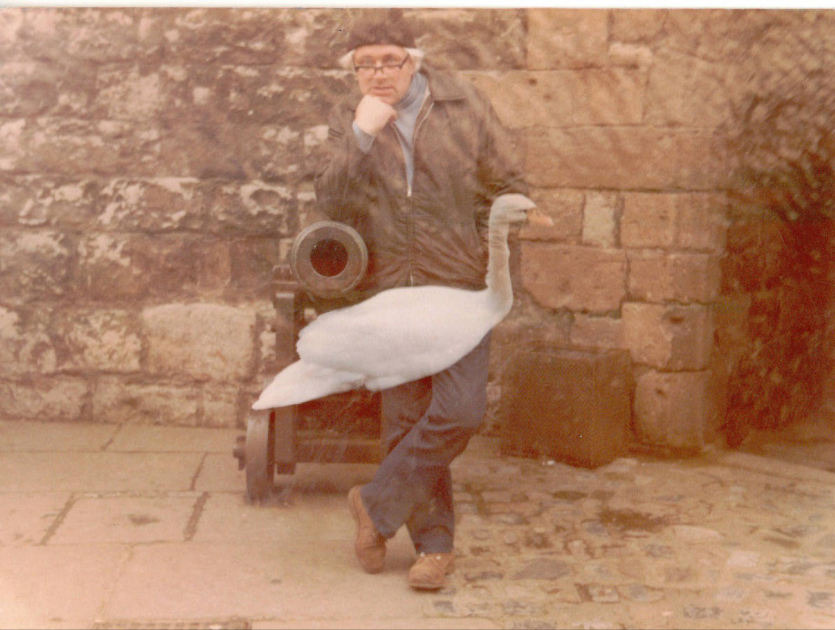 Solve how on earth did that get there!! jigsaw puzzle online with 48 pieces