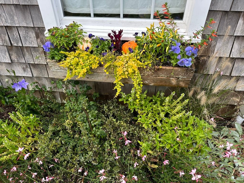 Jigsaw Puzzle | 30 pieces | Fall Garden | Jigidi