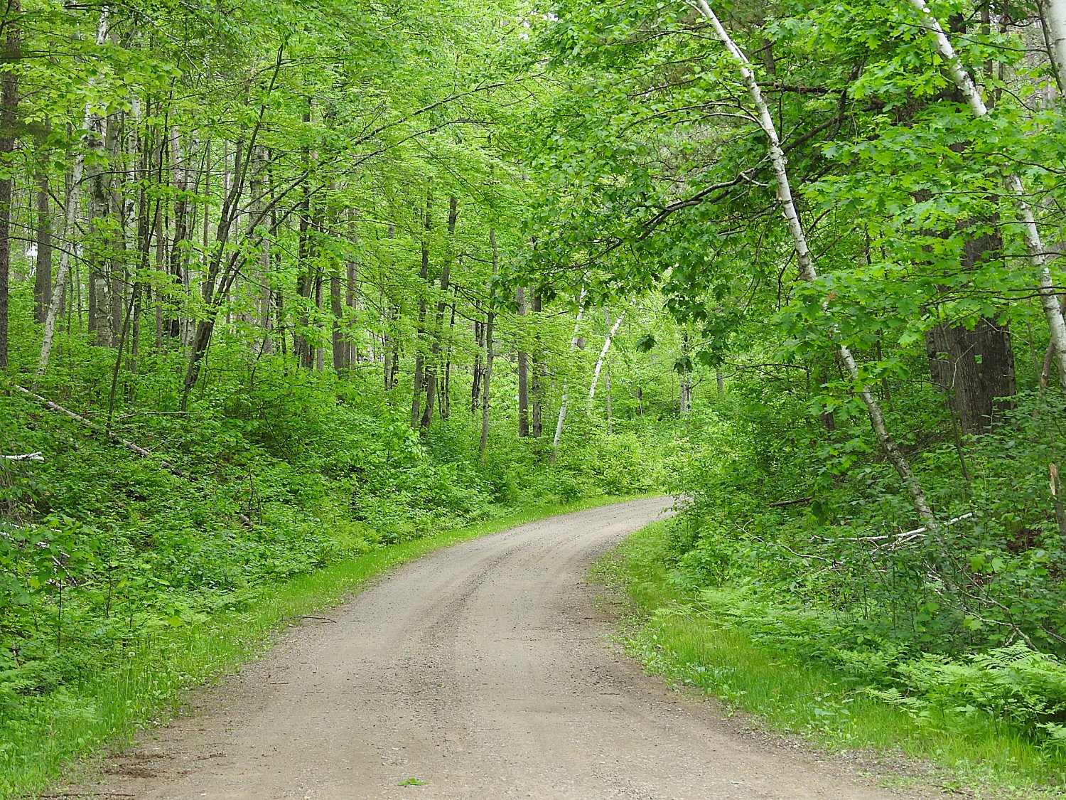 Solve Florence County, Wisconsin jigsaw puzzle online with 12 pieces