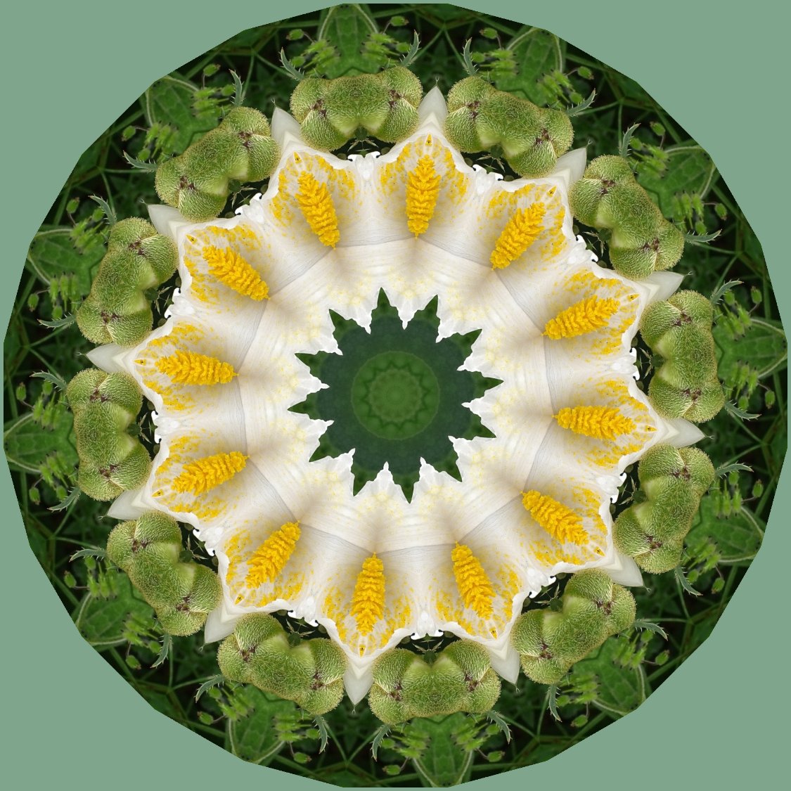 Solve #1 very small jigsaw puzzle online with 25 pieces