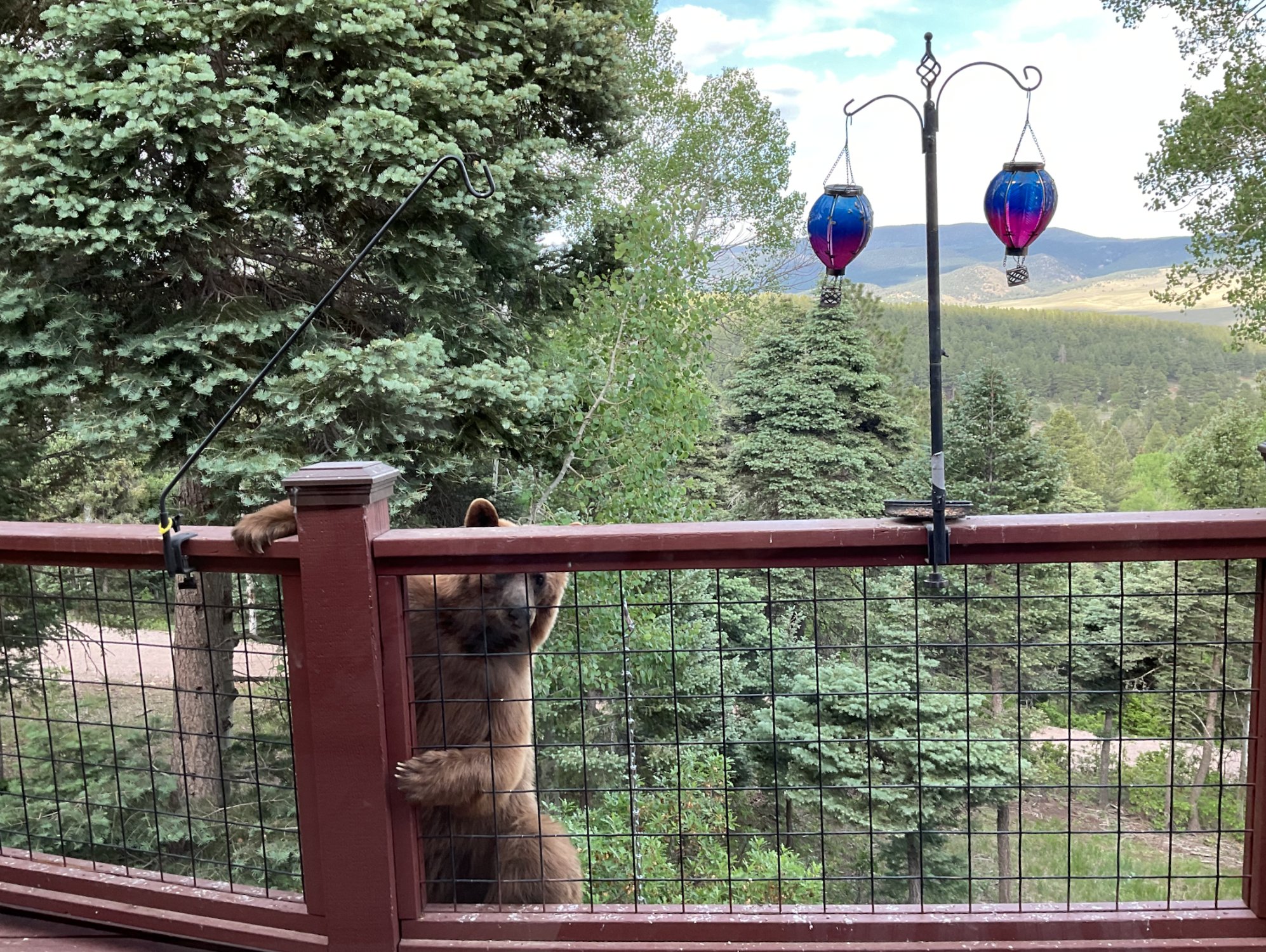 Solve Howdy Neighbor! 165 Pieces jigsaw puzzle online with 165 pieces