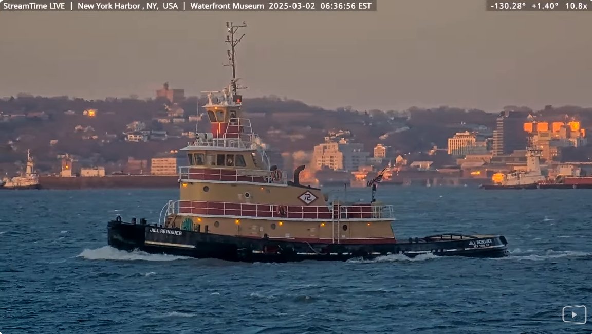 Solve Tug Jill Reinauer, NYH, 2025-03-02 jigsaw puzzle online with 60 ...