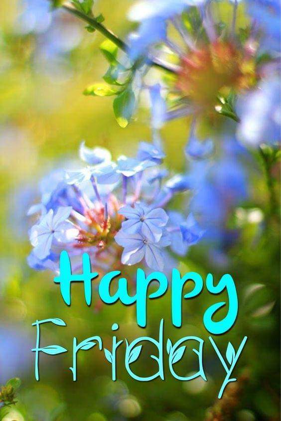 Solve Good Morning - Happy Friday! jigsaw puzzle online with 70 pieces