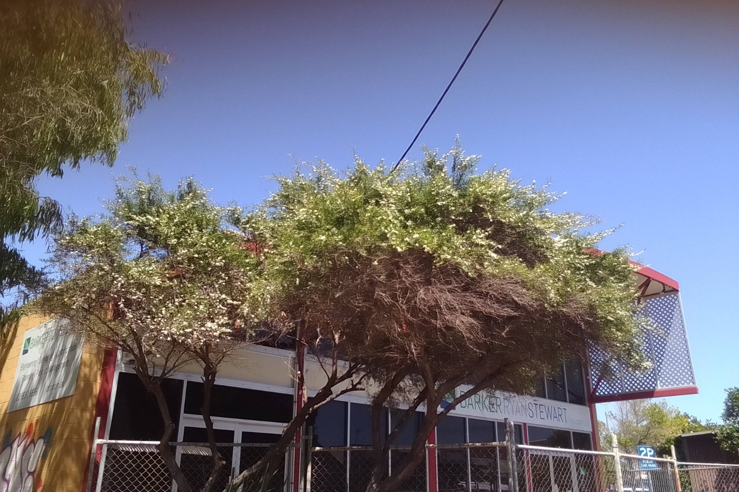 Solve Building And Tree jigsaw puzzle online with 12 pieces