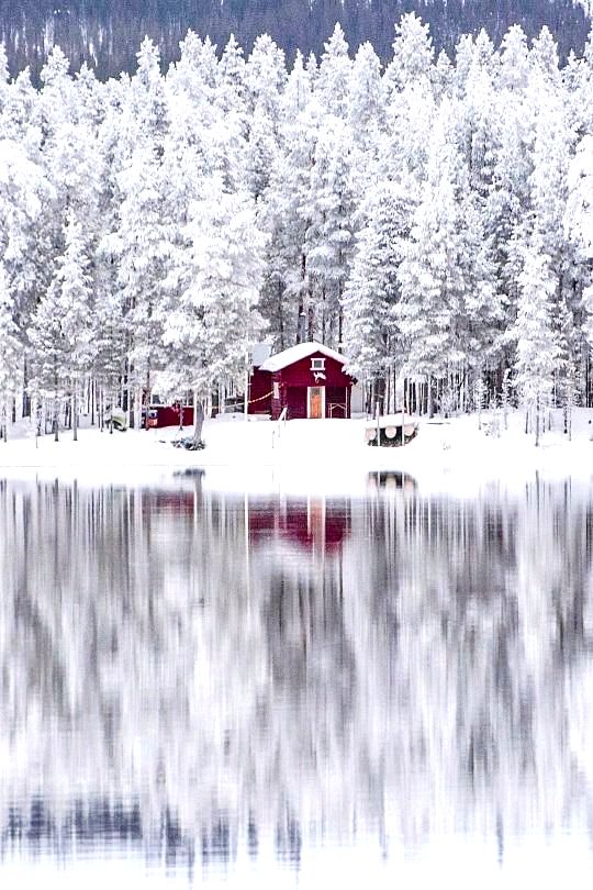 Solve Reflection jigsaw puzzle online with 77 pieces