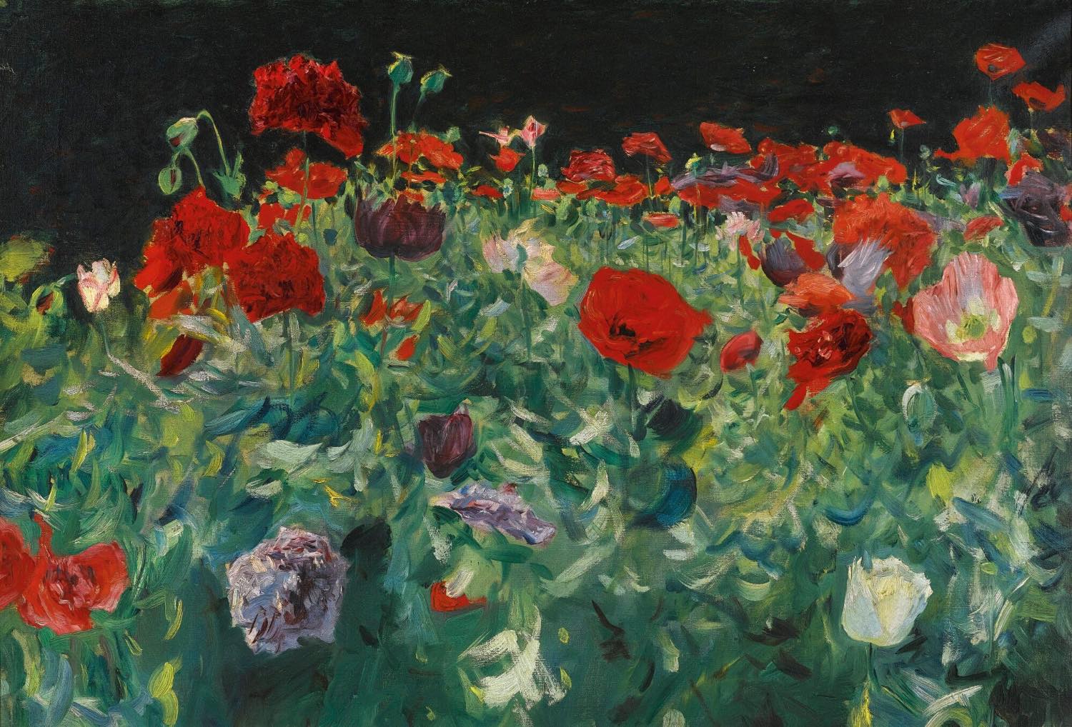 Solve John Singer Sargent (1856–1925), Poppies jigsaw puzzle online ...
