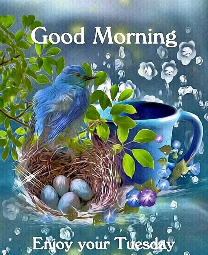 Solve Good Morning - Enjoy your Tuesday! jigsaw puzzle online with 63 ...