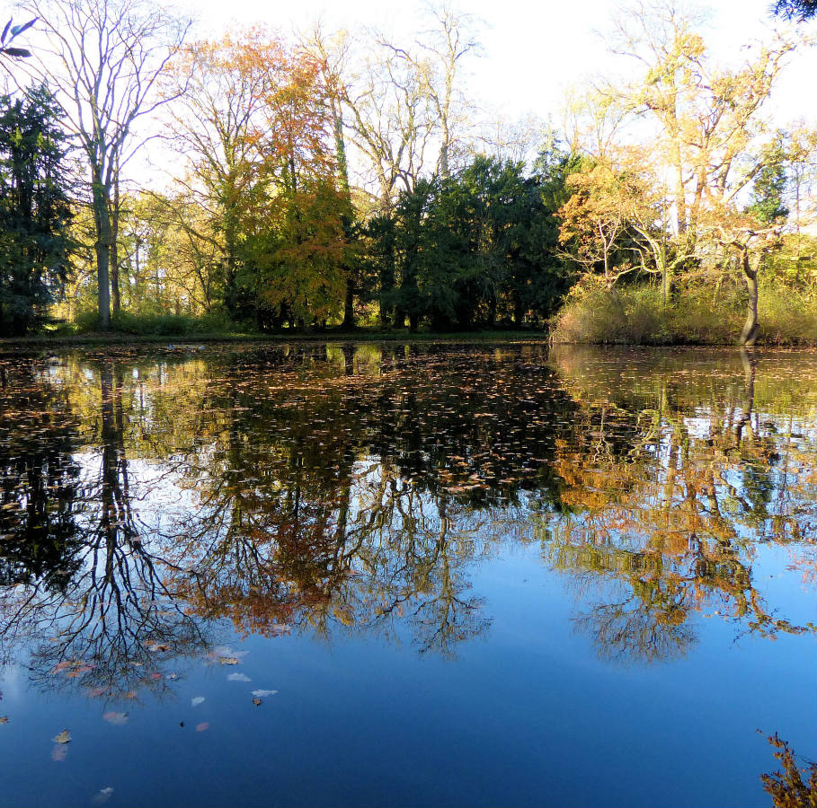 Solve upside down trees☺ jigsaw puzzle online with 81 pieces