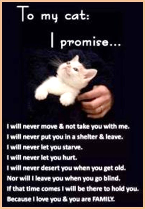 Solve A Pet Is A Lifetime Commitment jigsaw puzzle online with 35 pieces