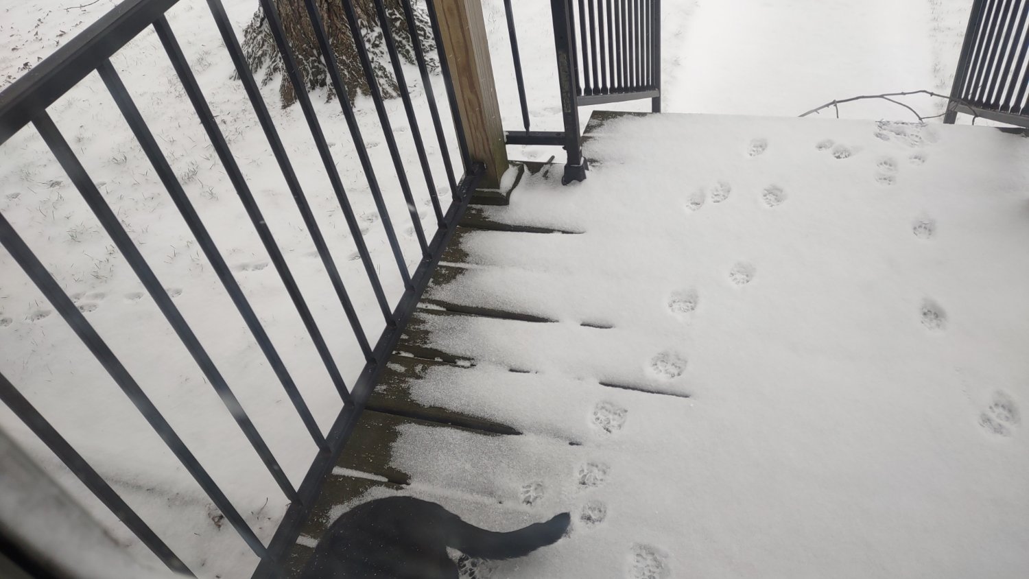 Solve The (tail) end of a Short Adventure (12/29/2025) jigsaw puzzle ...