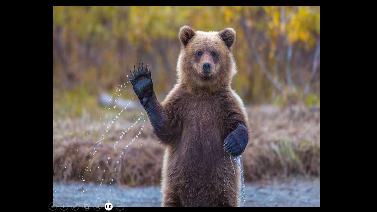 Solve Goodbye jigsaw puzzle online with 28 pieces