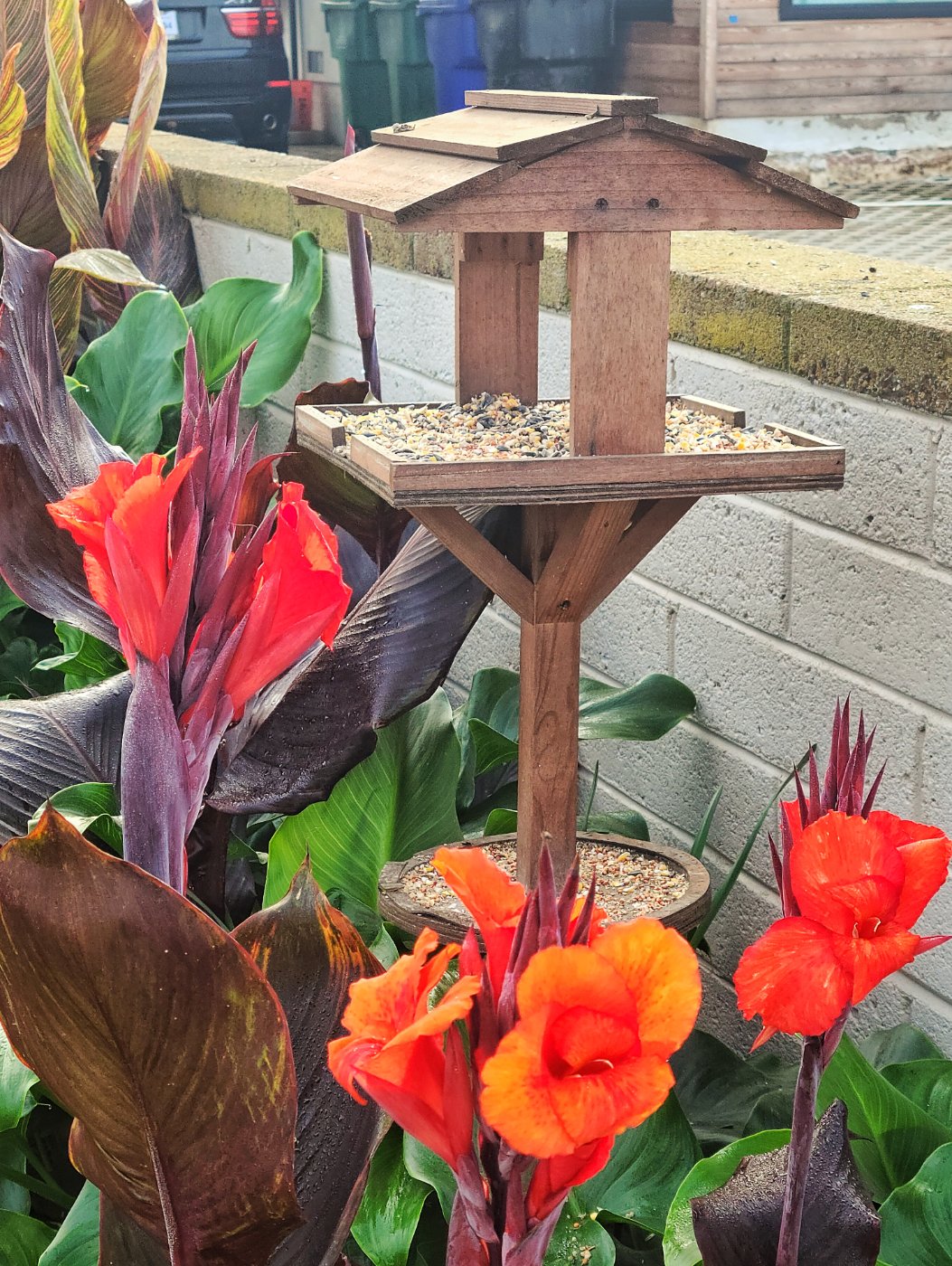Solve Inviting Bird Feeder jigsaw puzzle online with 35 pieces