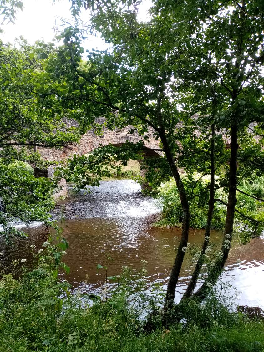 Solve The River Culm and Culmstock Bridge. jigsaw puzzle online with 35 ...