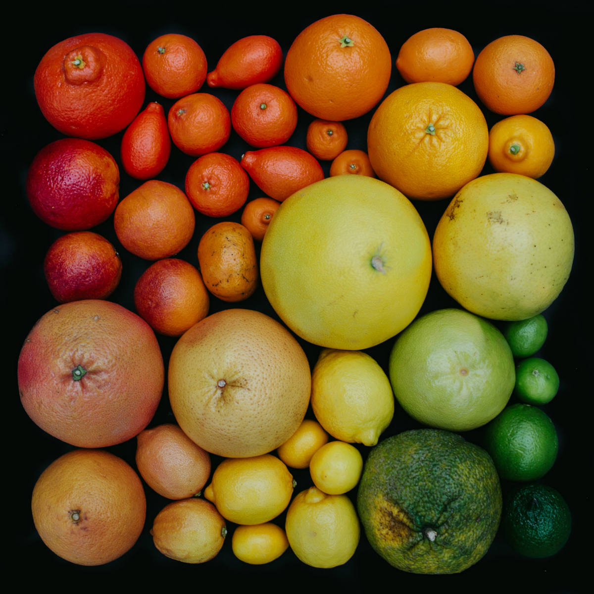 Solve Emily Blincoe - fruit jigsaw puzzle online with 289 pieces