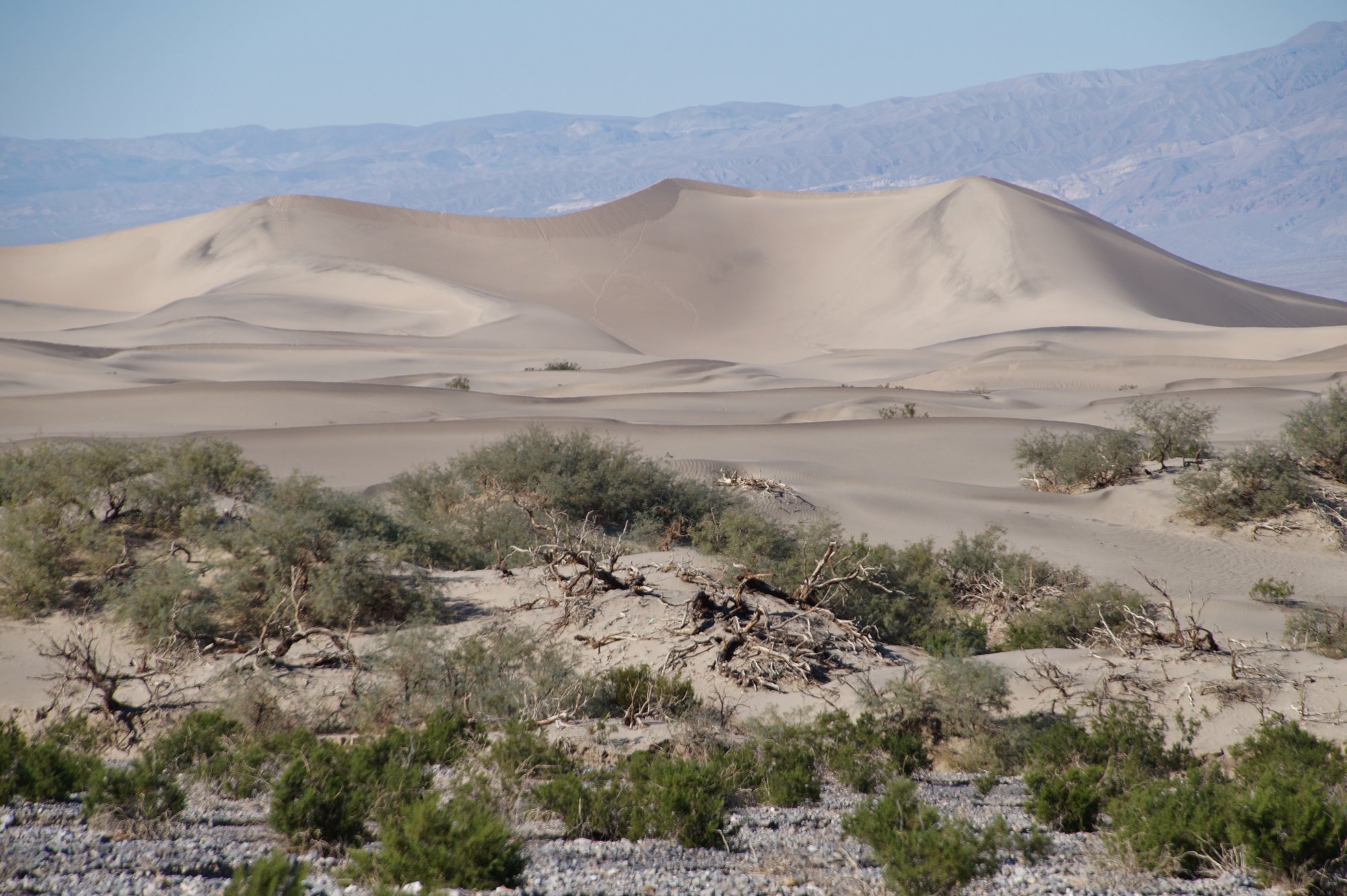 Solve Shifting jigsaw puzzle online with 77 pieces