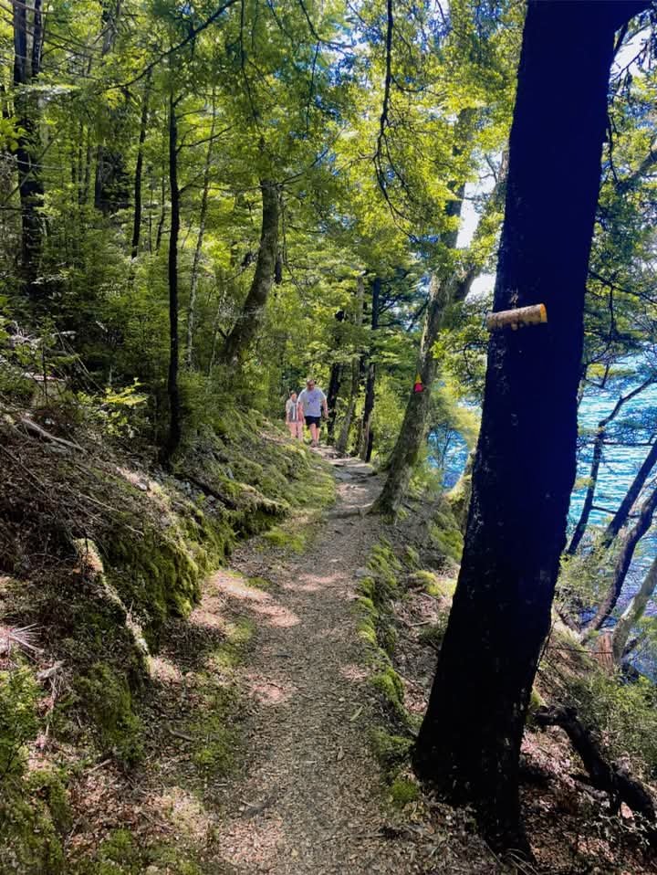 Jigsaw Puzzle | 30 pieces | St Arnard walk, Tasman region | Jigidi