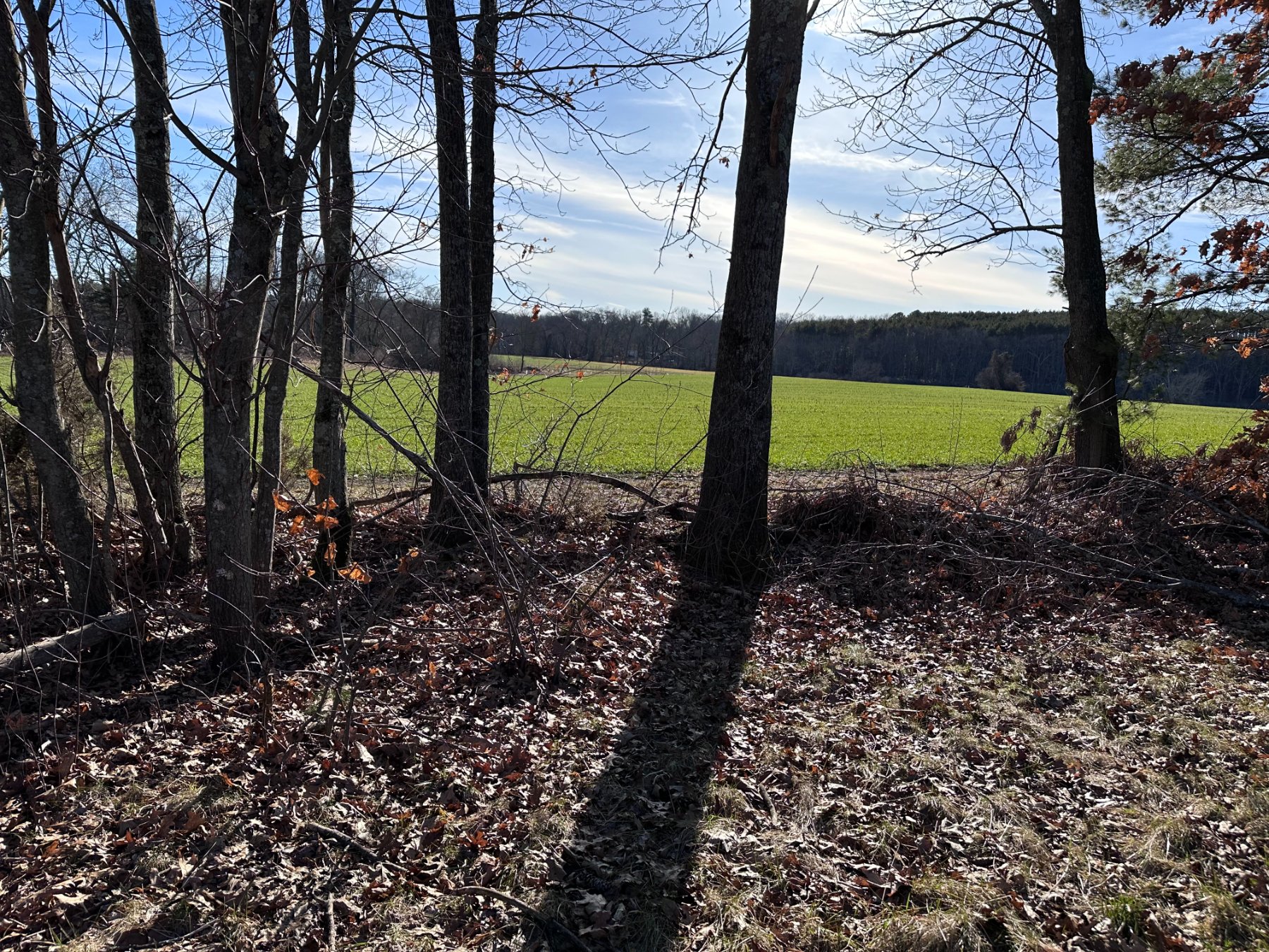 Solve A field of green--a welcome sight! jigsaw puzzle online with 63 ...