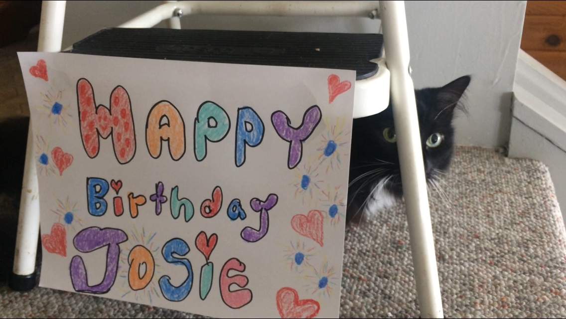 Solve Happy Birthday (Josie) w/ cat jigsaw puzzle online with 15 pieces