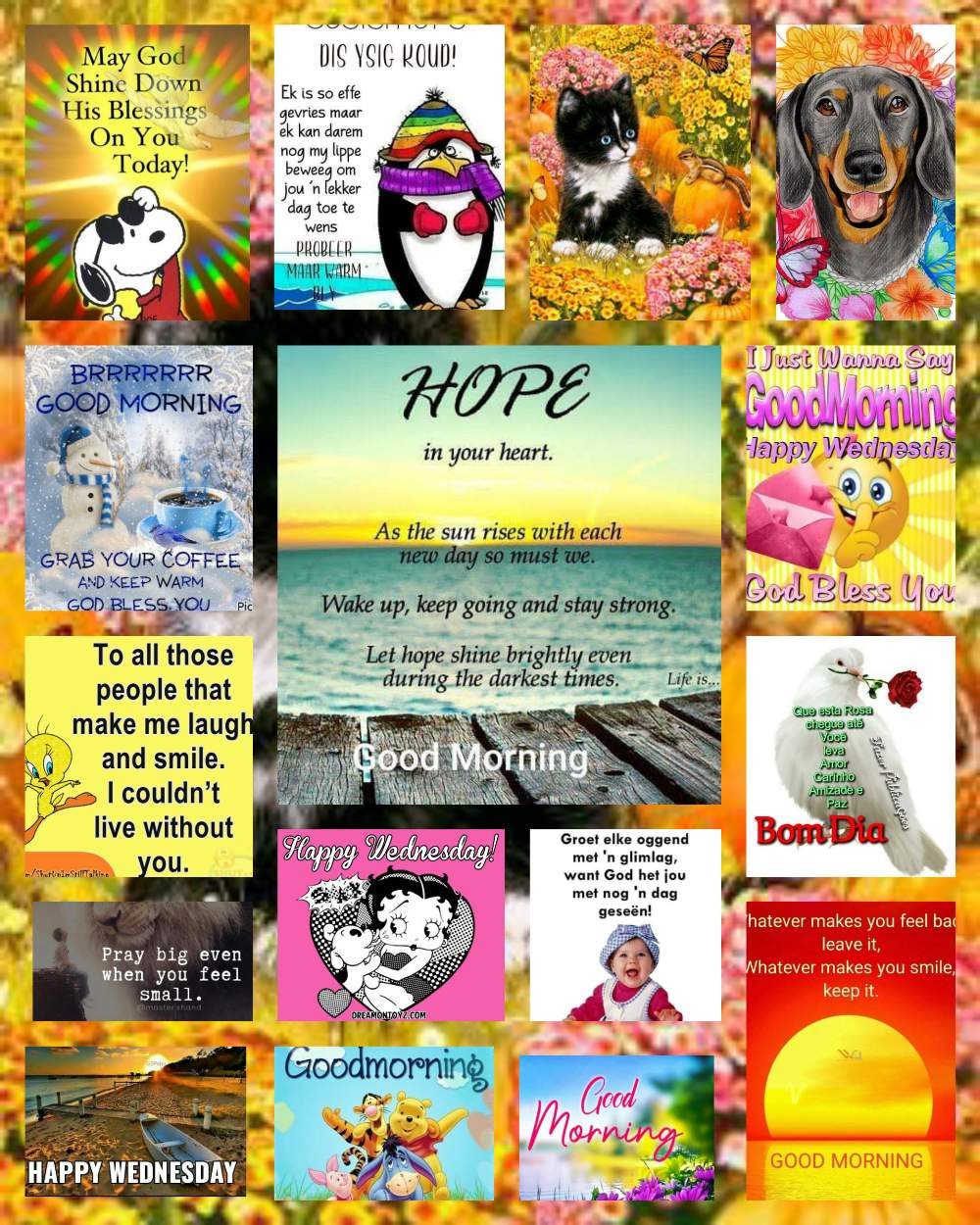 Solve HAPPY WEDNESDAY jigsaw puzzle online with 80 pieces