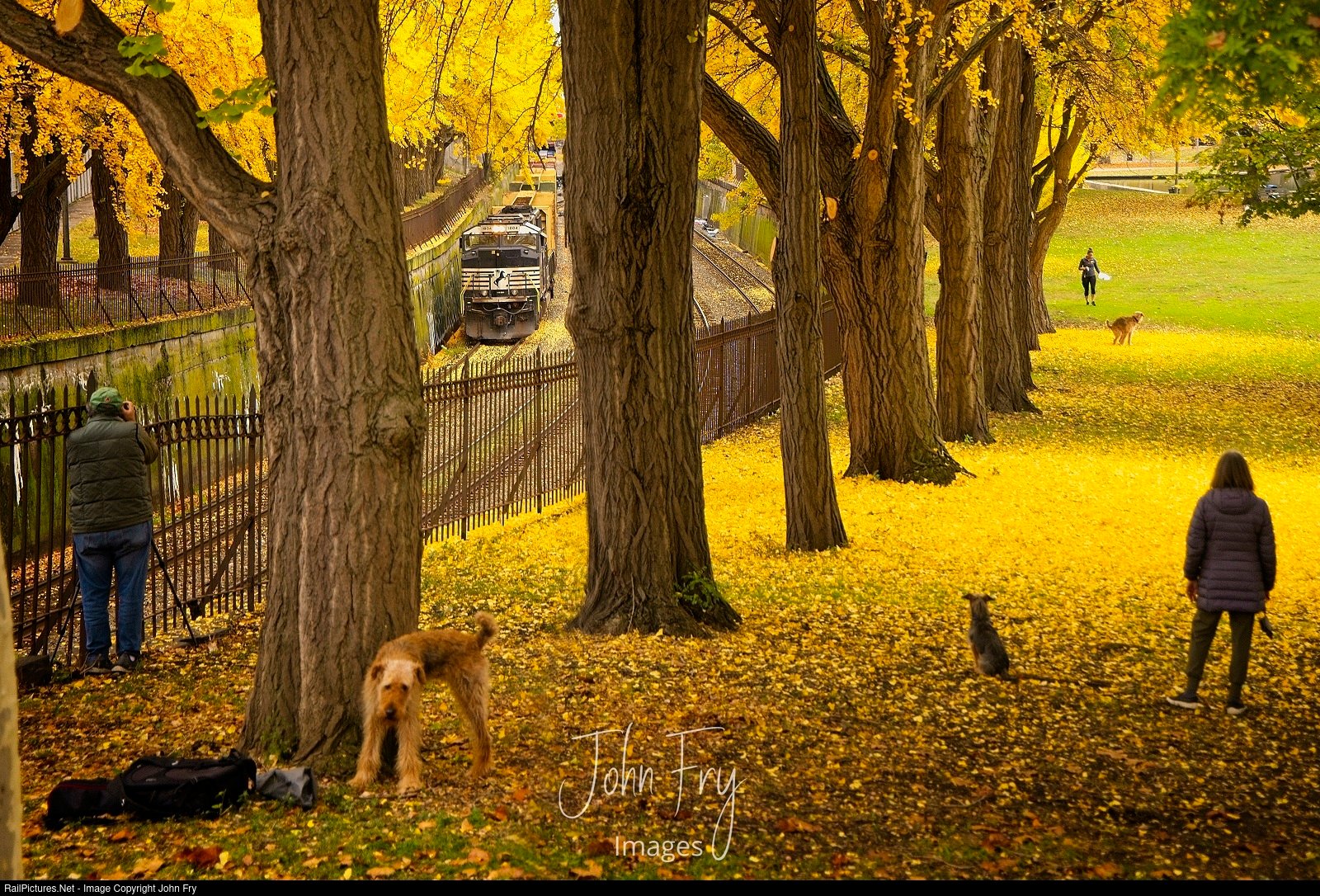 Solve Autumn brings so much excitement to ALL of the senses! jigsaw ...