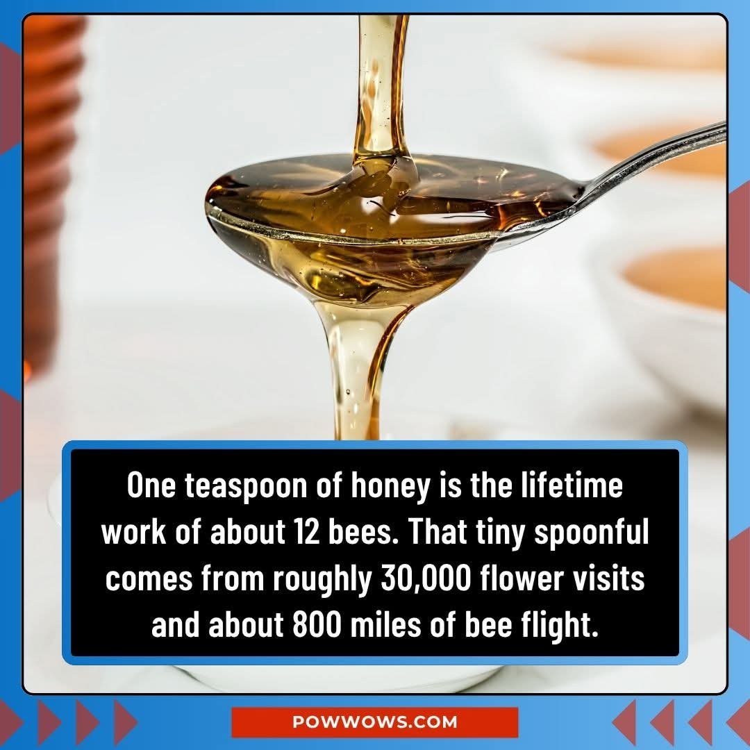 Solve Honey jigsaw puzzle online with 25 pieces