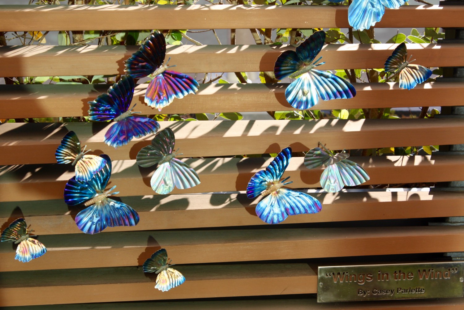 Solve Wings in the Wind #4 jigsaw puzzle online with 24 pieces