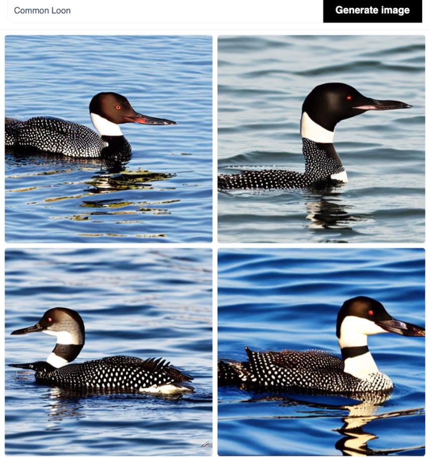 Solve AI-generated image oddities_5: Common Loon jigsaw puzzle online ...