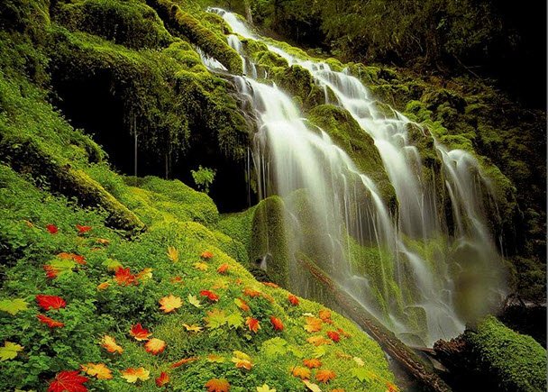 Solve Lovely waterfall jigsaw puzzle online with 48 pieces